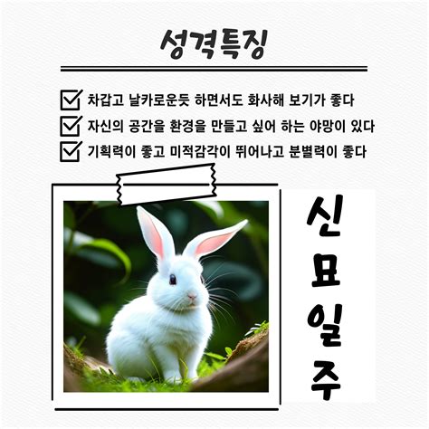 사주연 신묘 辛卯 일주 여자 남자 성격 특징 간단하게 장점 단점 알아보기