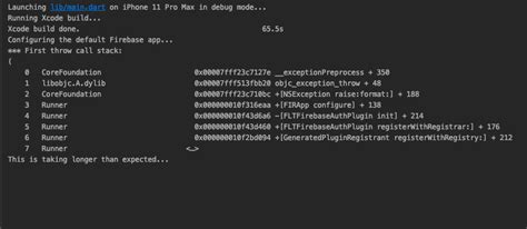 Flutter Configured The Default Firebase App FIRAPP DEFAULT Stack