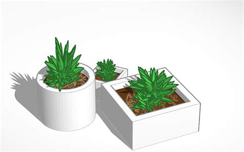 3d Design Plant Pots Tinkercad