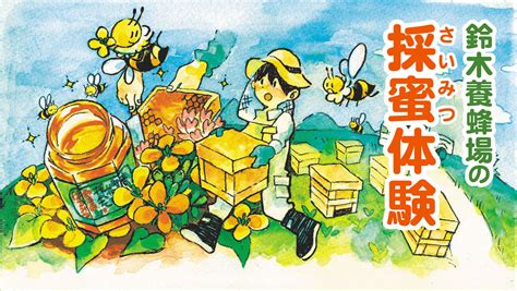 鈴木養蜂場 国産はちみつ 採蜜蜂場体験
