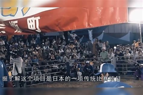 日本独创的骑猪比赛，请问你们考虑过猪的感受吗？