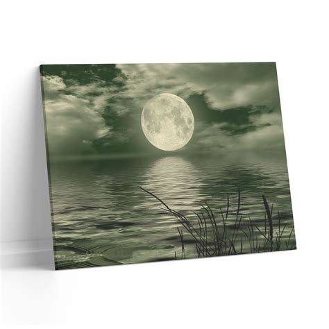 Dedeman Tablou Canvas Luminos Luna In Peisaj Alb Negru Picma