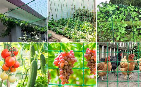 Vaslon Garden Trellis Netting 164ft X 59ft Climbing Plants Support
