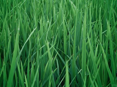 Hefei Mimai Chemical Co Ltd