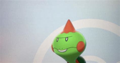 Pokémon Shield Found A Shiny Chewtle Album On Imgur