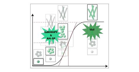 Saurabh Awasthi On Linkedin Fluorescence Based Monitoring Of Early Stage Aggregation Of Amyloid β…
