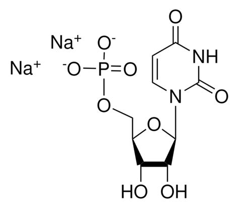 尿苷 Sigma Aldrich