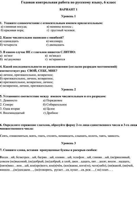 Годовая контрольная работа по русскому языку 6 класс