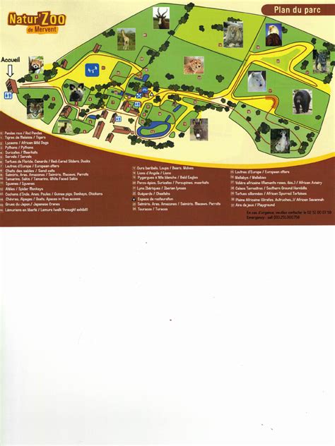 Ccf 000044 Pdf