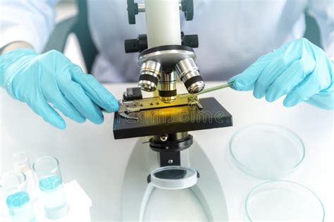 Doctors Researched Microscope Slides Under The Monocular Microscope