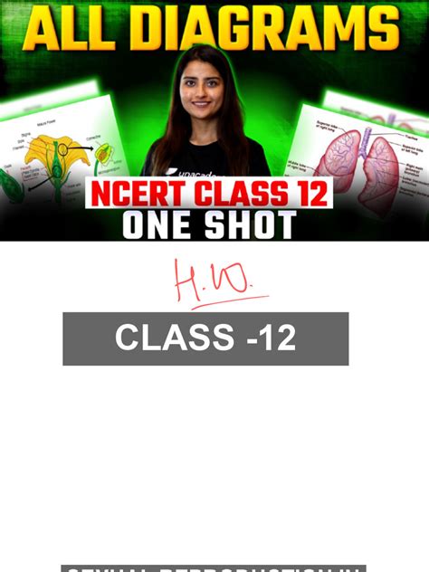 Ncert 12th Diagrams One Shot Pdf
