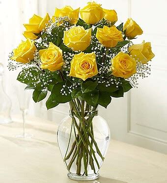 Rutherford Florist Rutherford NJ Flower Shop Rutherford Florist
