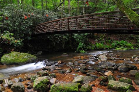 Jones Gap And The Literal Trailblazer It S Named After Travelers