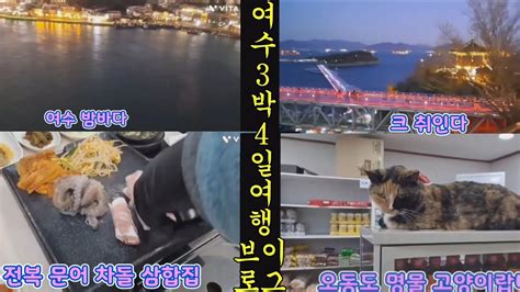 여수여행 1일2일차 힐링로드 Vlog 현지인 부부와함께 1박2일 한우차돌문어 소맥 먹방 케이블카 낭만포차 여수밤바다 2일차 닭도리탕 오동도 브이로그 여수힐링여행 Youtube