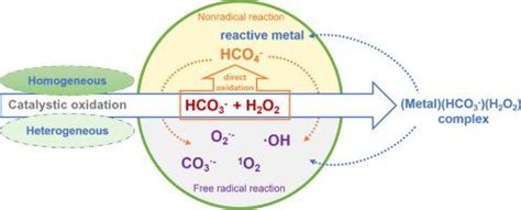 碳酸氢盐活化的过氧化氢水处理系统的最新进展 Chemical Engineering Journal X MOL