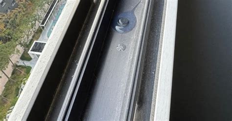 창틀 및 구석구석 깨끗하게 청소를 잘해 주셨어요~ 화장실 벽면에 접착제 자국도 많았는데 깔끔하게 제거도 해주셨네요 청소를 깨끗하게 해준 덕분에 이사를 잘하였습니다 숨고