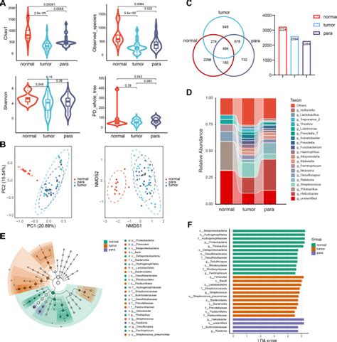 Investigating The Role Of Intratumoral Streptococcus Mitis In Gastric Cancer Progression