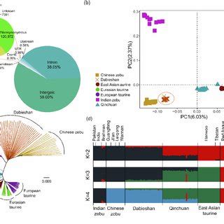 Population Genetic Structure And Relationship Among Dabieshan Cattle