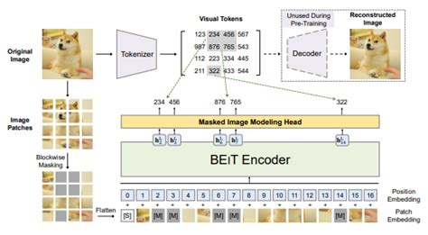 [doc] Main Figure Of Modles In Mmsegmentation · Issue 1059 · Open Mmlab Mmsegmentation · Github