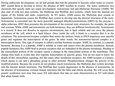 Sex Determination Ppt