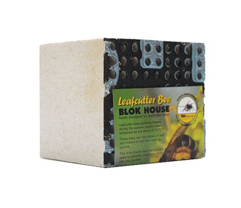 61449 Nesting Blok For Summer Leafcutter Bees Beediverse Mason Bees