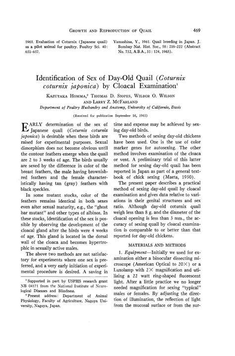 Pdf Identification Of Sex Of Day Old Quail Coturnix Coturnix