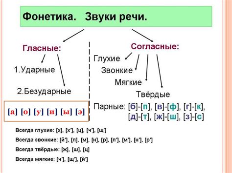 Фонетика и графика Орфография 8 класс презентация онлайн