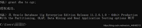Windows10 导入 Oracle11g Dmp文件方法（详细！！！）windows导入dmp命令 Csdn博客