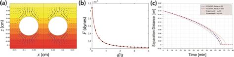 Self Assembly And Particle Aggregation In Stratified Fluids