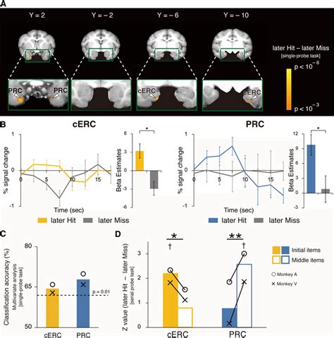 Differential Subsequent Memory Effects Between Macaque Mtl Regions