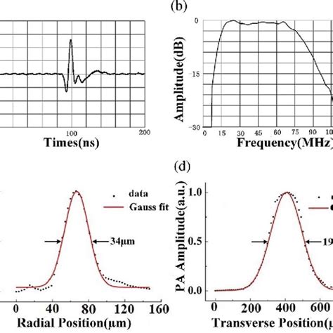 Performance Of The Transducer And System A The Echo Signal Detected