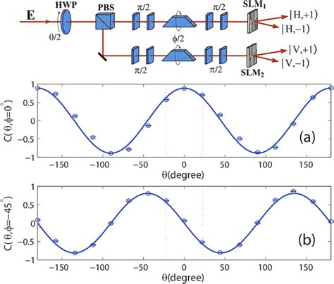 The Correlation Functions C θ ϕ As A Function Of Polarization Download Scientific Diagram