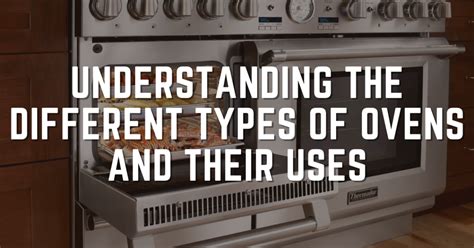 How Many Types Of Ovens Are There At Gabriel Dawn Blog