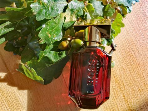 Boss The Scent Elixir For Her Hugo Boss Parfem Novi Parfem Za žene 2024