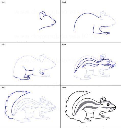 Como Dibujar Una Ardilla Kawaii Paso A Paso