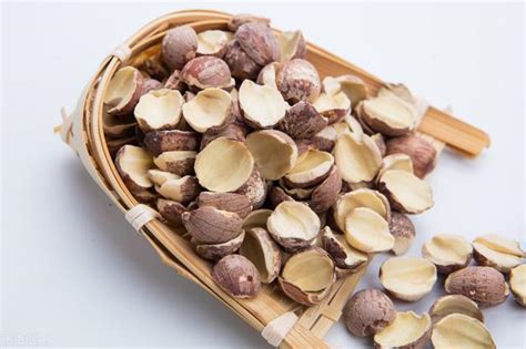 阳痿、早泄要挂什么科？做哪些检查项目？中医辨证治疗早泄1则东方养生频道东方养生