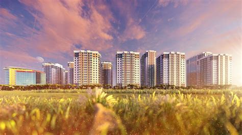 Pinecone Academy Added A New Photo Pinecone Academy