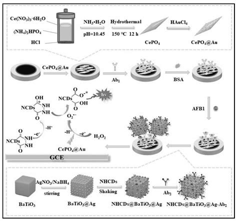 Biosensors Free Full Text Recent Advances In Electrochemiluminescence Biosensors For
