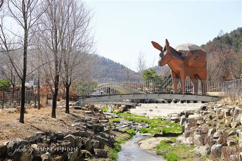국내 여행지 추천 강원도 당일치기 여행 평창 봉평 허브나라 외~ 네이버 블로그
