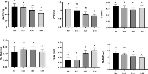Mean And Standard Deviation Values Of The Bone Morphometric Parameters