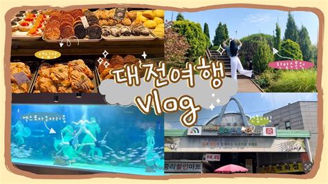 Vlog 대전ㅣ대전 누가 노잼이래 꿀잼으로 놀기 ️ㅣ중리전통시장 성심당 도우모 엑스포아쿠아리움 한밭수목원 첫브이로그 대전여행 Youtube