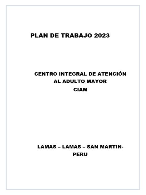 Plan De Trabajo 2023 Ciam Pdf Adultos Vejez
