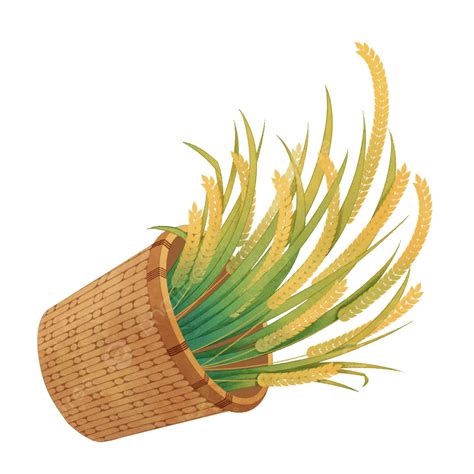 벼 쌀 밀 가을걷이 Png 일러스트 및 이미지 에 대한 무료 다운로드 Pngtree
