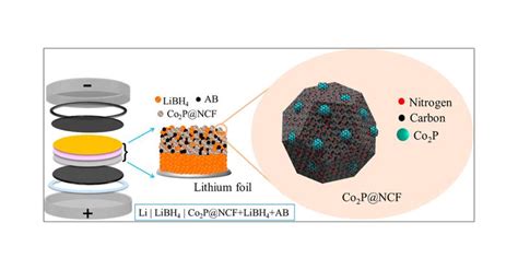 Dr Yogita Dahiya On Linkedin Exploring Cobalt Phosphide Nanoparticles Sheathed Within N Rich