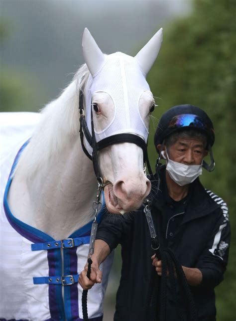 【オークス】ソダシ11番から無敗の牝馬2冠へ 陣営「極端な外じゃなくて良かった」 Umatoku 馬トク
