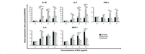 Expression Of Pro Inflammatory Cytokine And Chemokine Genes In Caco 2