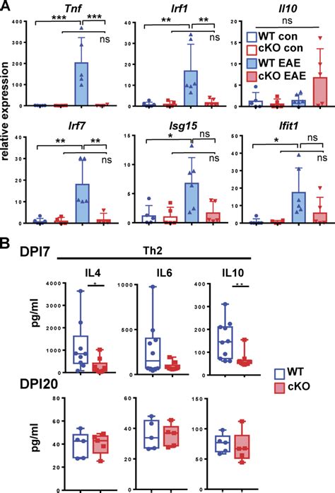 Grip1 Cko Mice Develop Less Spinal Cord Inflammation And Attenuated Download Scientific Diagram