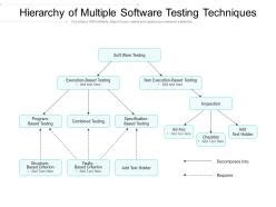 Hierarchy Of Multiple Software Testing Techniques PowerPoint Slides