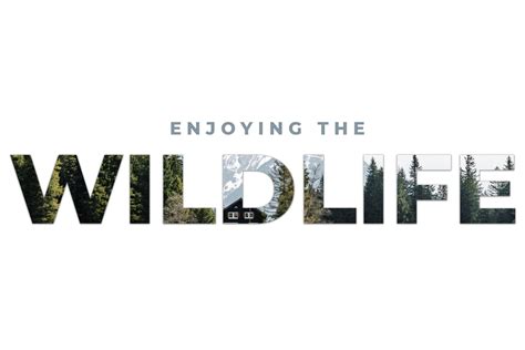 How To Create A Cool Text Graphic Effects Using Clipping Mask In Photoshop