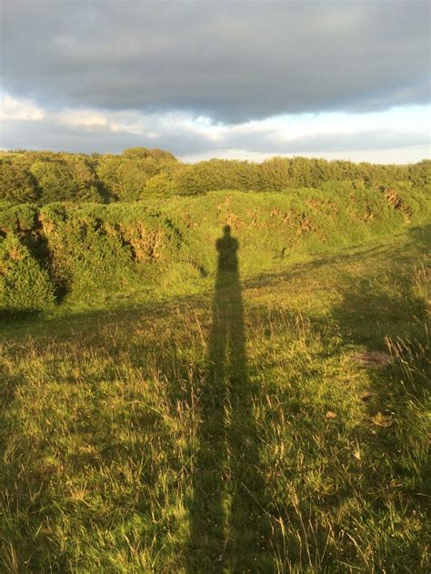 Core Process Psychotherapy Julian Cowan Hill Ma Ukcp Rcst